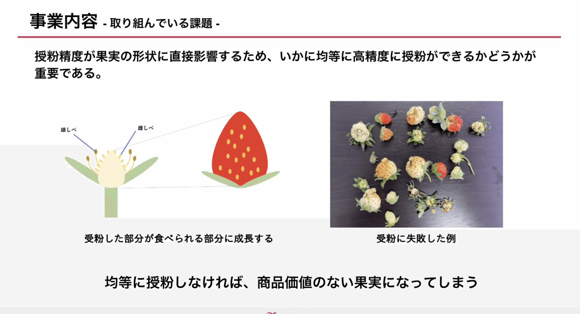 株式会社Yanekara・HarvestX株式会社登壇|東大IPC DEEP TECH DIVE Live! #7 「東大IPC×TSUKUBA CONNÉCT 大学発！ハードウェアベンチャー ...